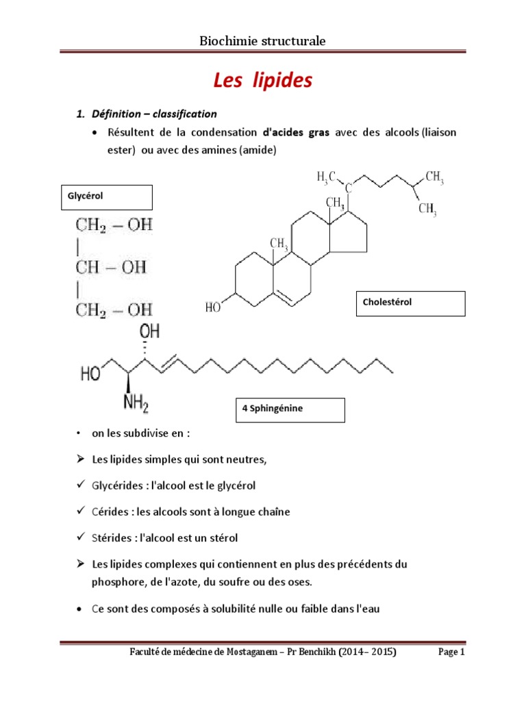 07-Les Lipides | Lipide | Acide gras