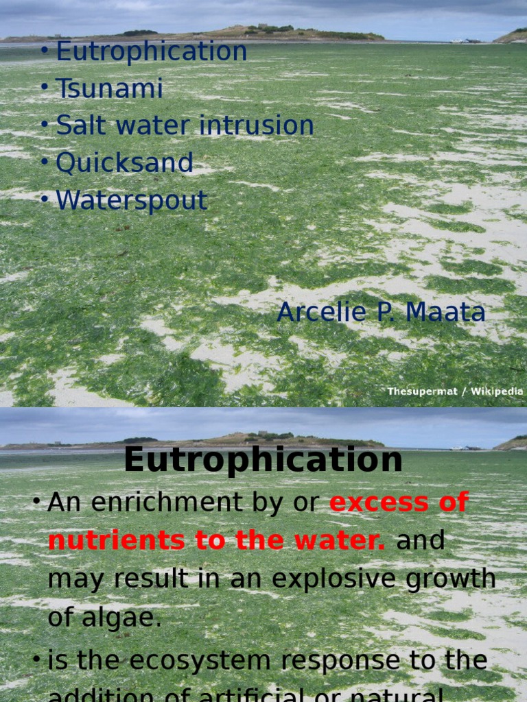 Eutrophication Ocean