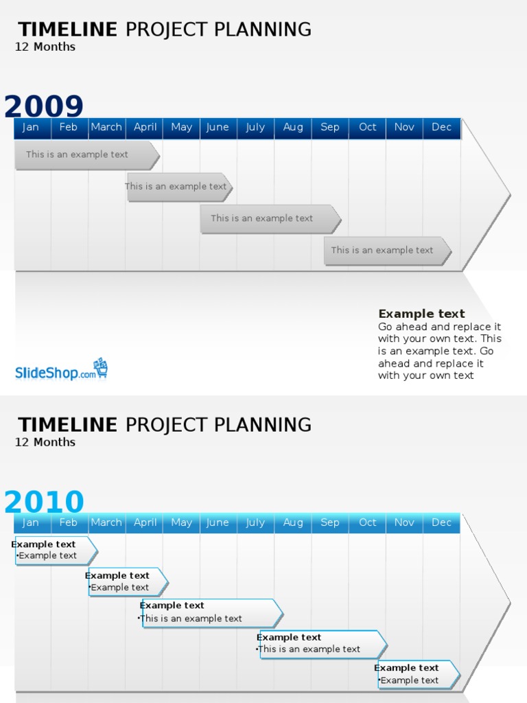 Timeline Project Planning: 12 Months | PDF