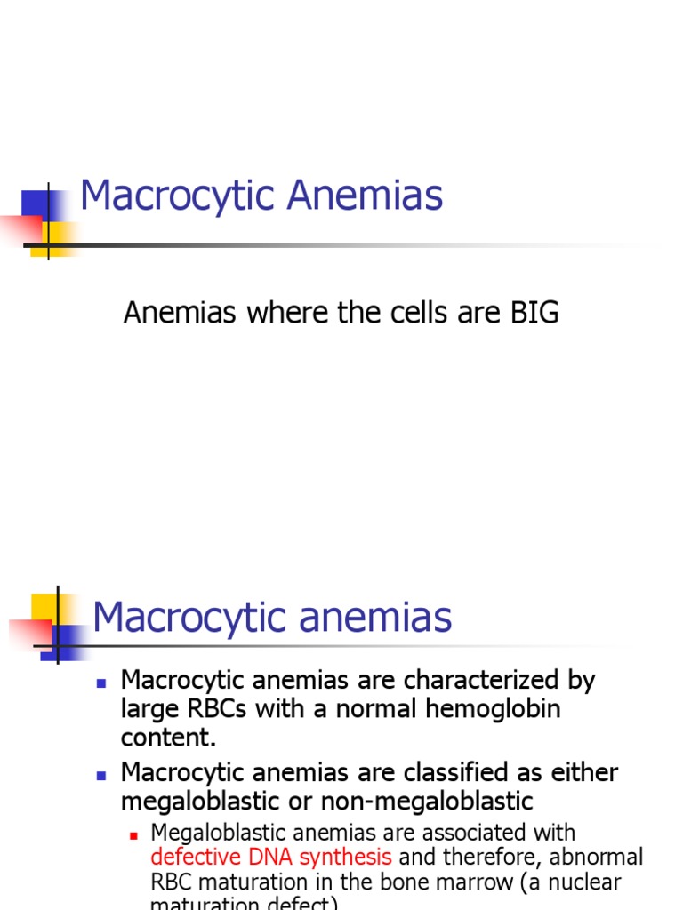 Macrocytic Anemias | Anemia | Vitamin B12