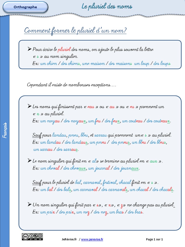 Pluriel Noms Lecon | PDF