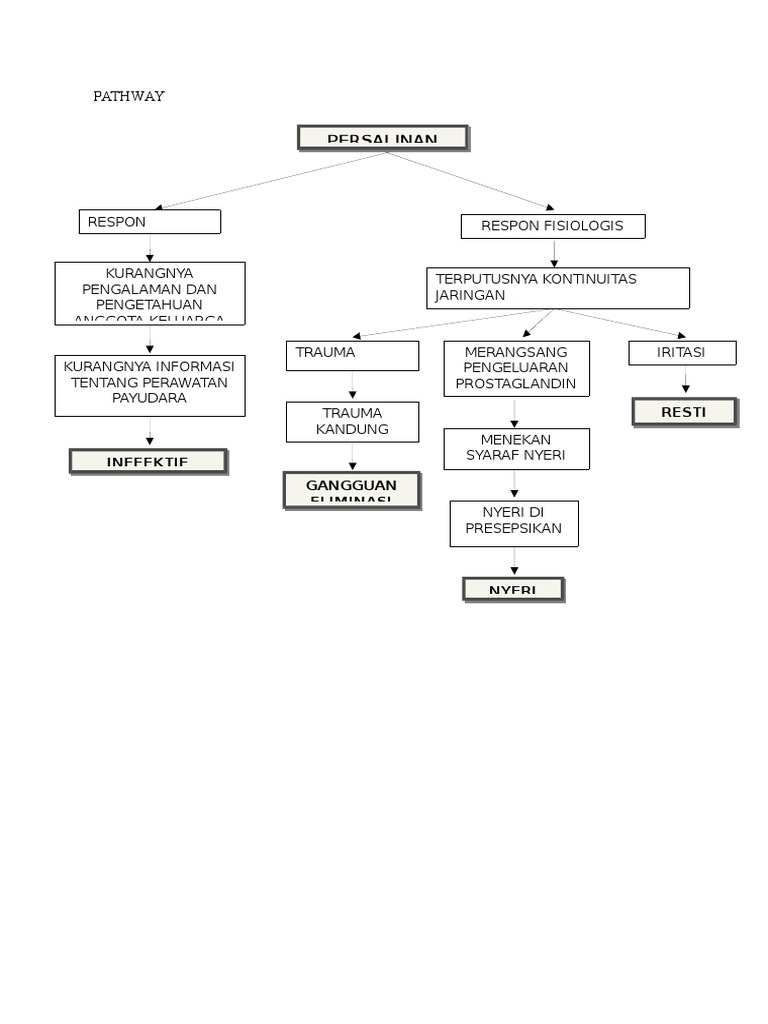 Pathway Persalinan Normal | PDF
