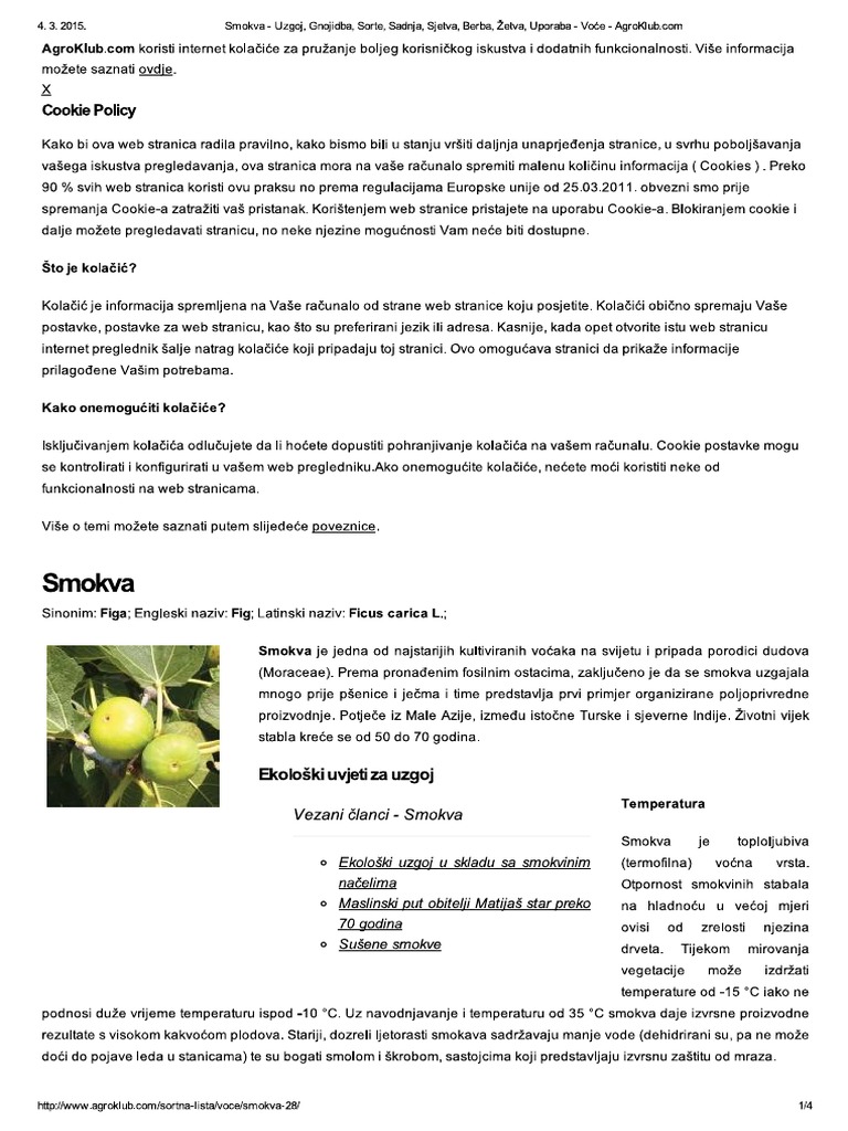 Smokva - Uzgoj, Gnojidba... A - Voće - AgroKlub PDF | PDF