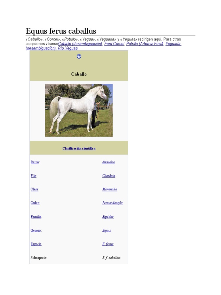 Equus Ferus Caballustrrt | PDF | Équidos | Caballos