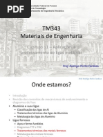 Folicil: Indicações e Posologia | PDF | Vitamina | Anemia