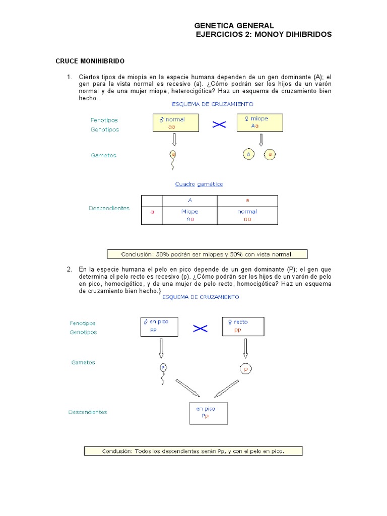 Ejercicios Monohibrido y Dihibridodocx | PDF | Dominancia (Genética ...