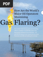Zero Routine Flaring by 2030 Initiative | PDF | Natural Gas ...
