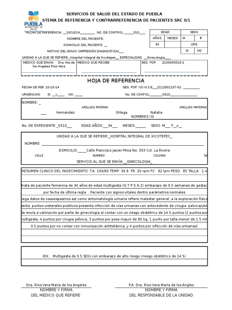 Formato de Hoja de Referencia | PDF