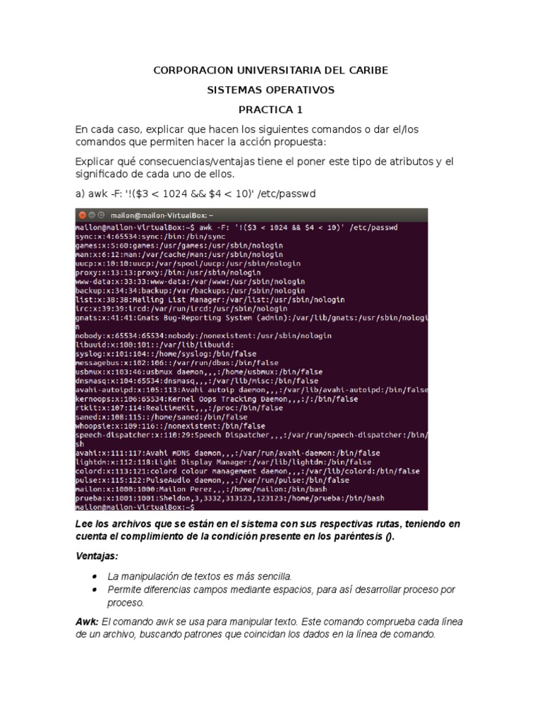 Practica Linux | PDF | Archivo de computadora | Sistema operativo