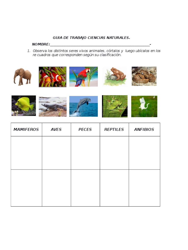 Guias de Ciencias Naturales Habitat | PDF | Ciencia y matemáticas