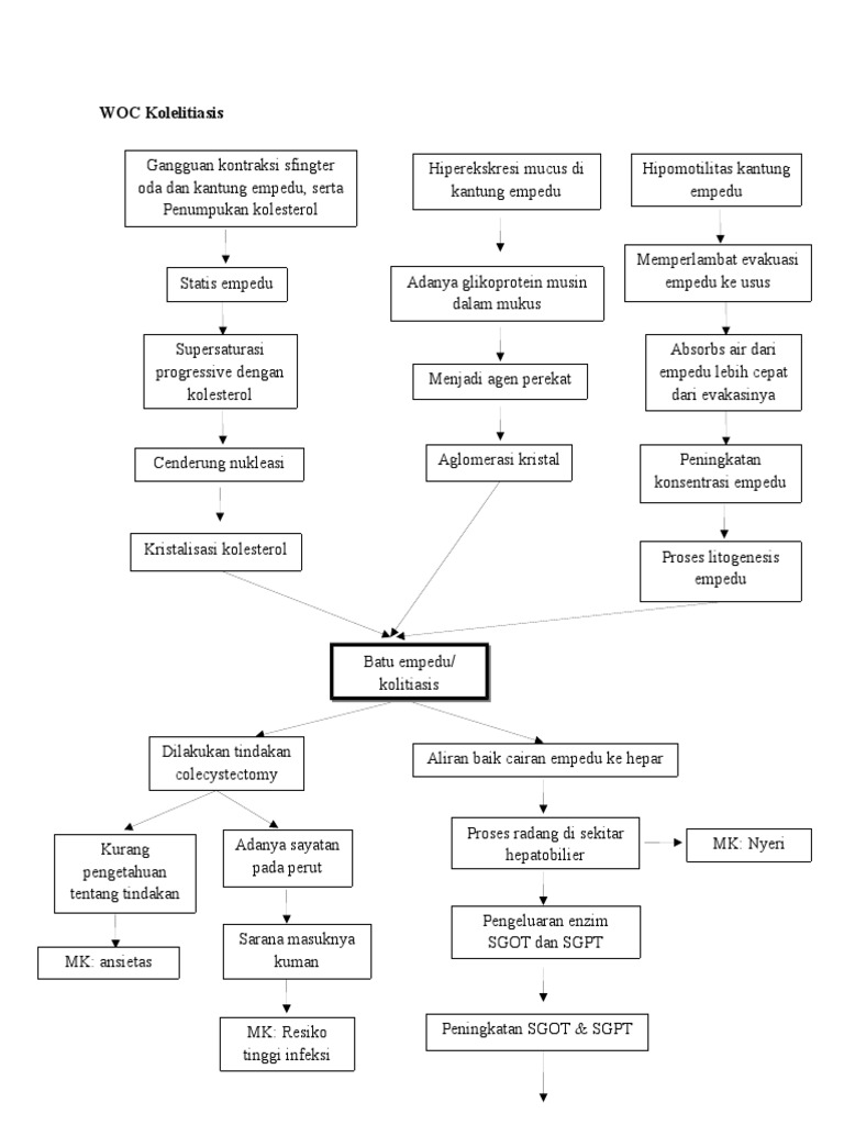 WOC Kolelitiasis | PDF