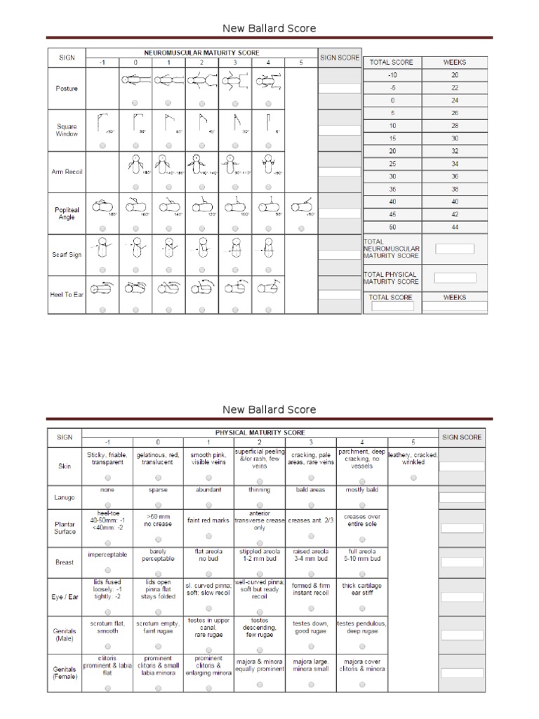 New Ballard Score | PDF