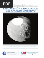 Niveles Axilares de Berg | PDF | Finanzas y administración del dinero