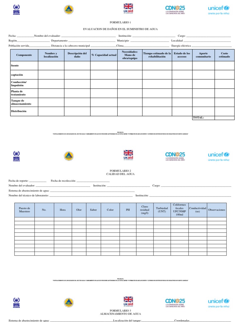 Formato Edan Especializado | PDF | Saneamiento | Agua