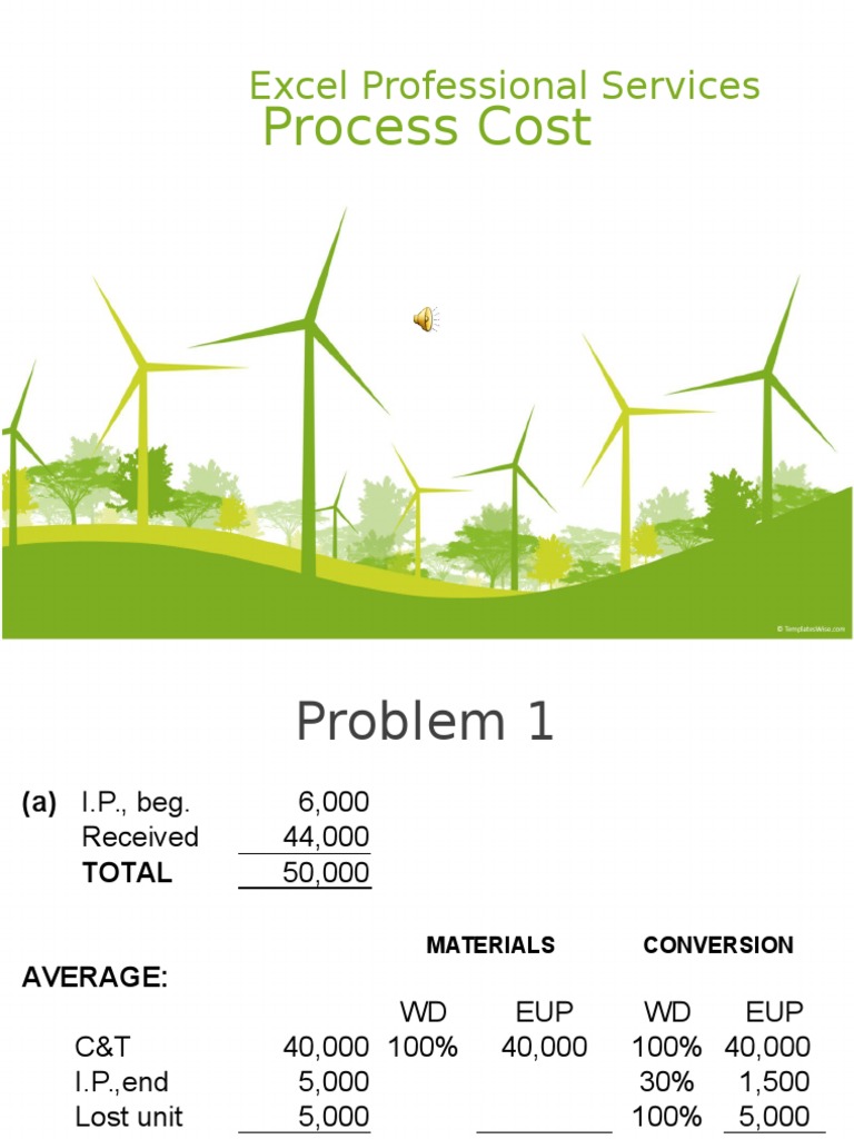 Process Cost: Excel Professional Services | PDF