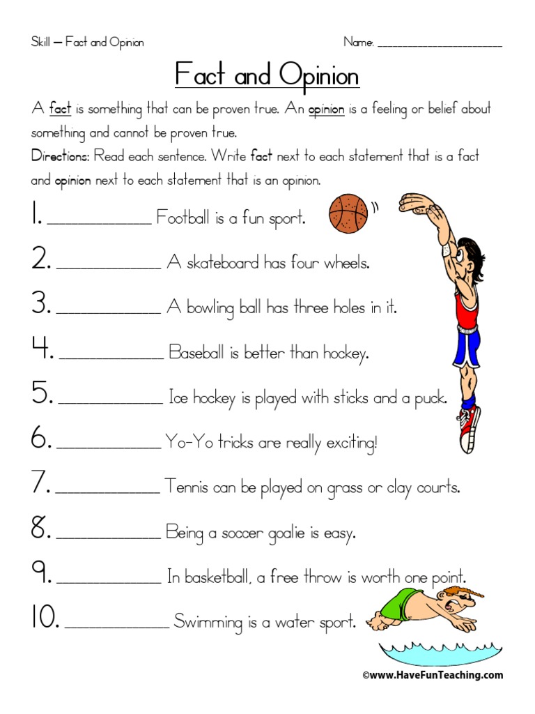 Fact and Opinion Worksheet | PDF | Sports & Recreation