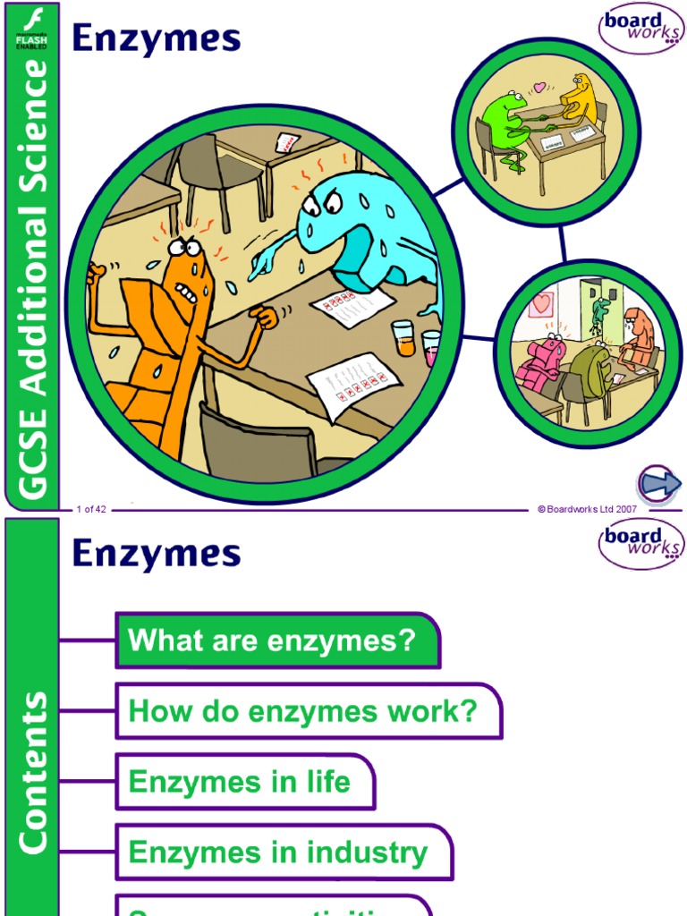 AS Biology Unit 1 Enzymes | PDF | Enzyme | Active Site