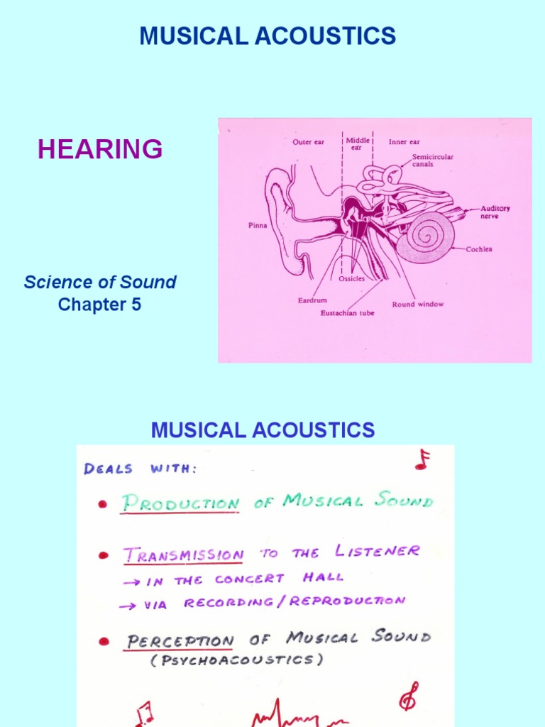 Hearing: Musical Acoustics | PDF