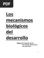 Origen Embrionario de los Tejidos Humanos | PDF | Embrión | Biología ...