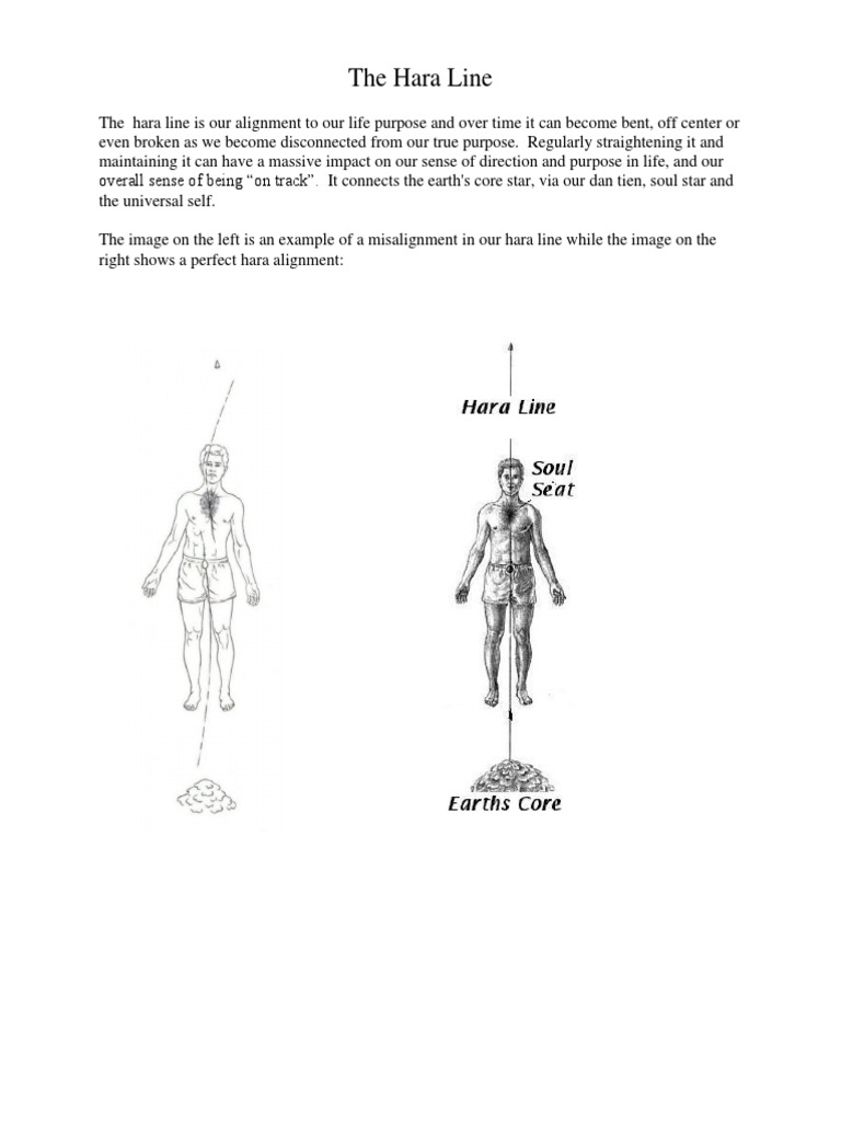 Hara Line Exercise2 | PDF