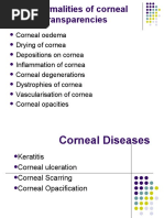 Fundus Drawing Techniques and Guidelines | PDF | Retina | Human Eye