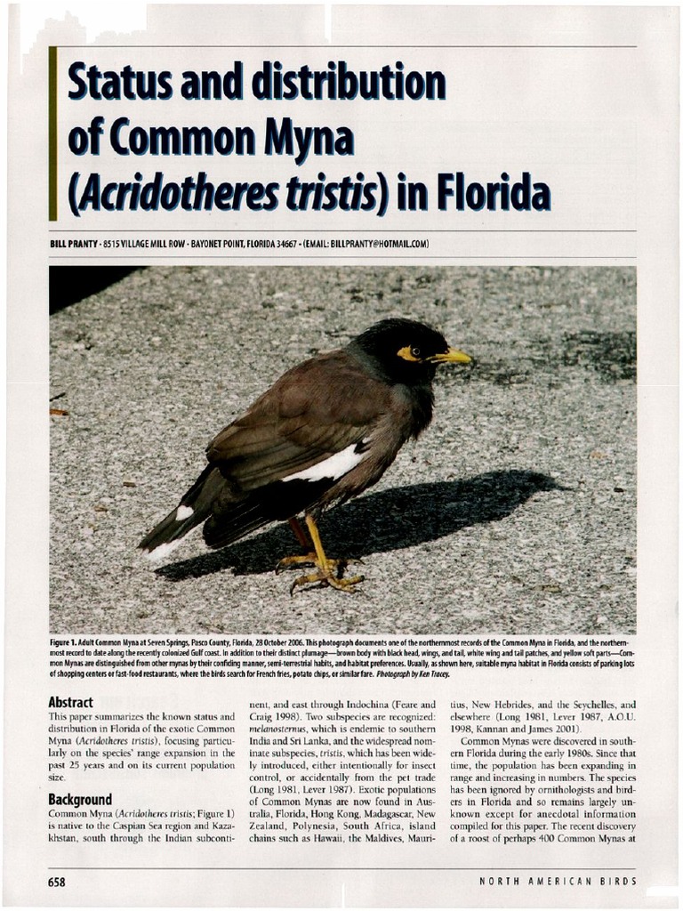 Common Myna Status and Distribution in Florida | PDF | Miami Dade ...