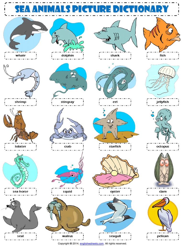 Sea Animals Esl Picture Dictionary Worksheet | PDF | Marine Mammals ...