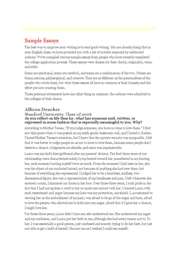 Sample College Essays Collection | PDF | Che Guevara | Hatred