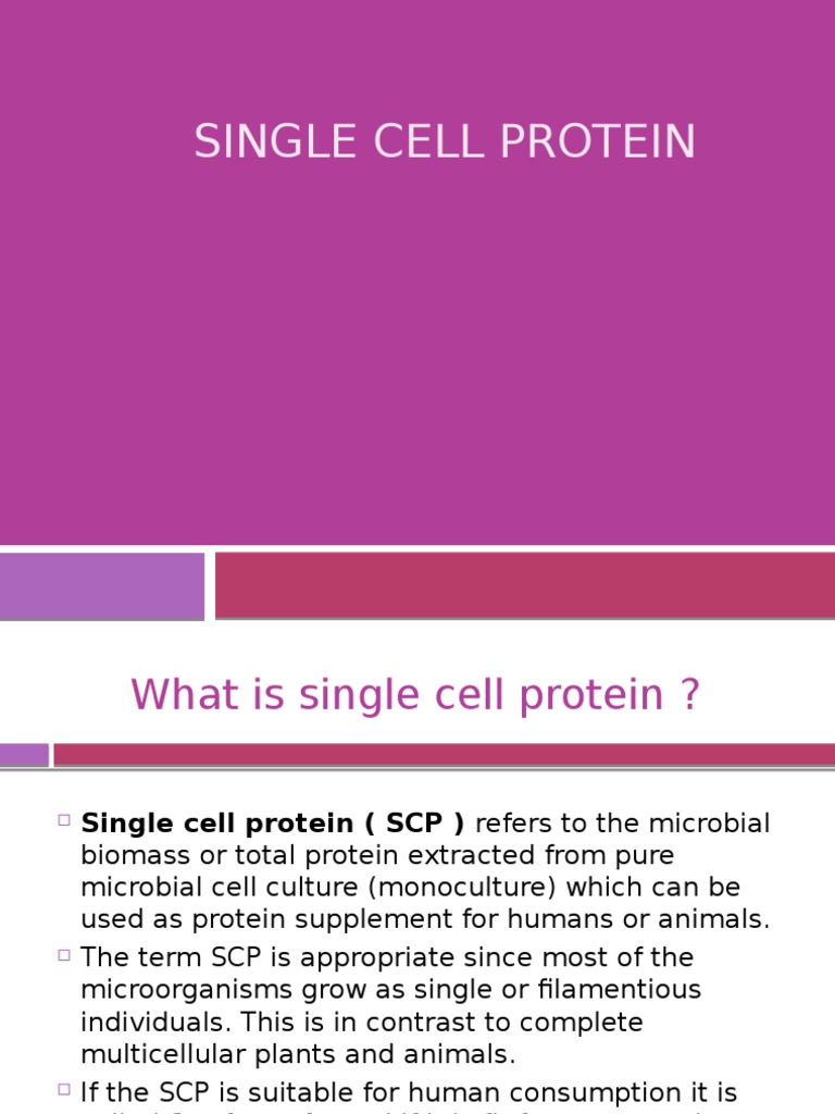 Single Cell Protein | PDF | Microorganism | Fermentation