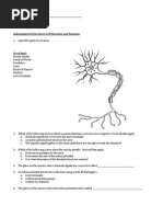 Nervous System Worksheet for Students | PDF | Neuron | Axon