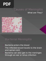 Meningitis | PDF | Meningitis | Public Health