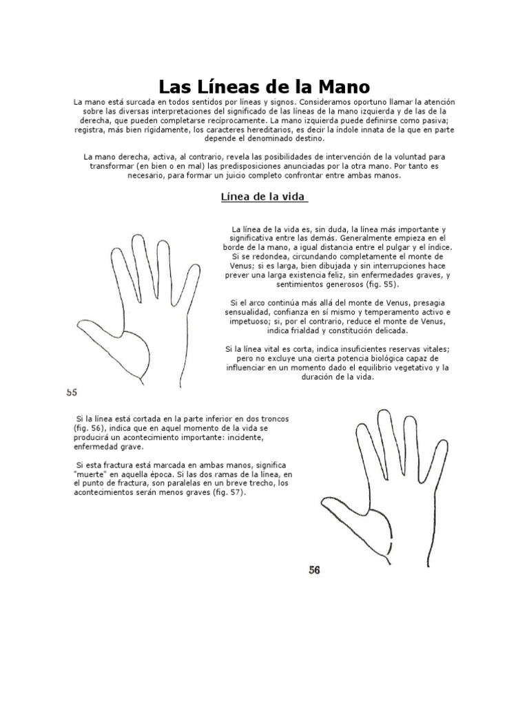 Las Lineas de La Mano | PDF | Mano | Amor