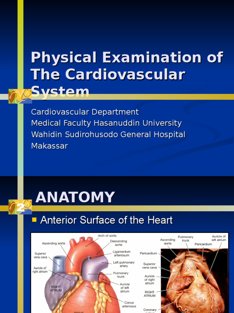 Physical Examination of The Cardiovascular System | PDF | Pulse | Heart ...