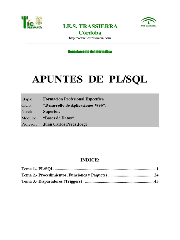 Apuntes sobre PL/SQL: Introducción a los fundamentos del lenguaje PL ...