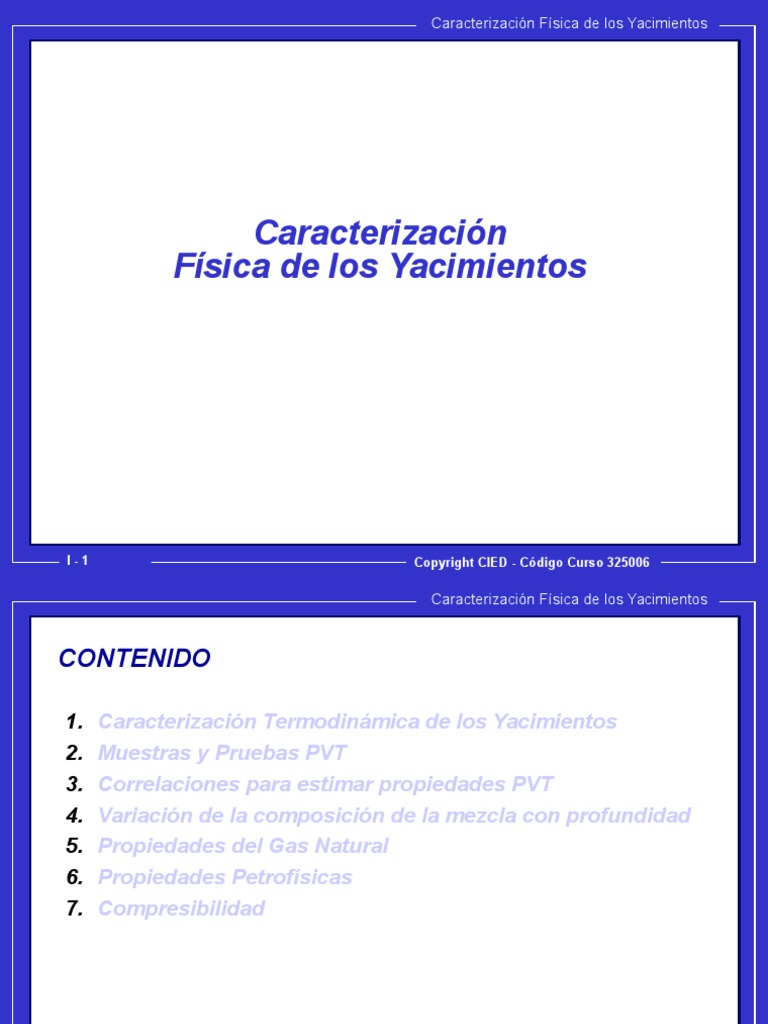 Caracterizacion Fisica de Los Yacimientos | PDF | Petróleo | Gases