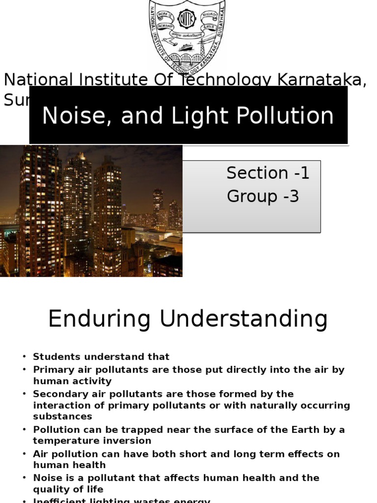 Impact of Noise and Light Pollution | PDF | Air Pollution | Smog