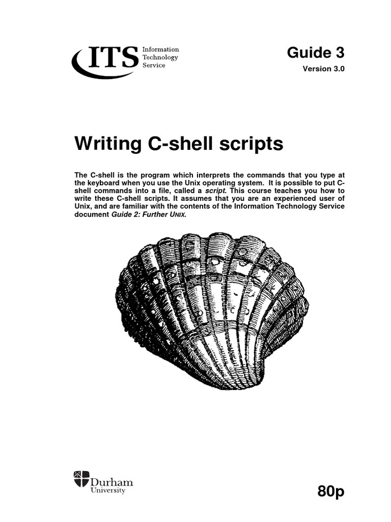 Writing CSH Shell Scripts Parameter Computer Programming Command 