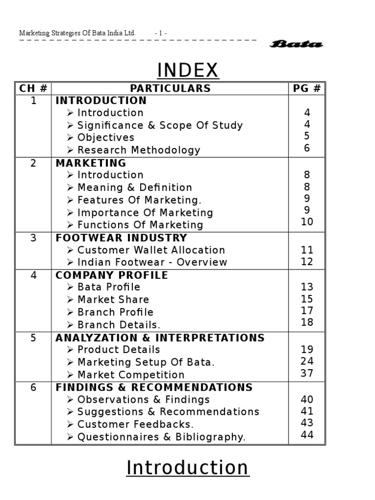Bata Project | Download Free PDF | Retail | Marketing