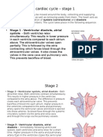 Cardiac Cycle Overview for A-Level Biology | PDF | Ventricle (Heart ...