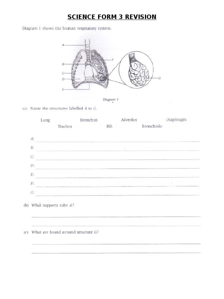 Science Form 3 Revision | PDF