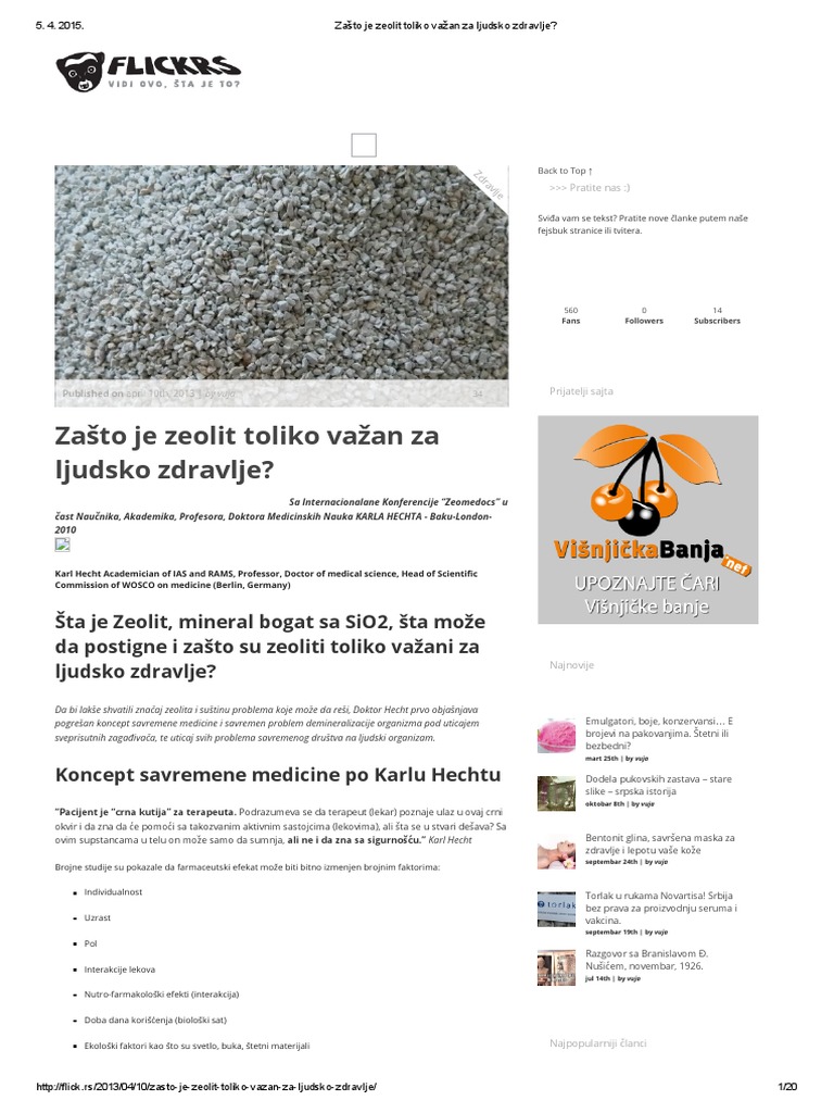 Zeolit Zašto Je Zeolit Toliko Važan | PDF