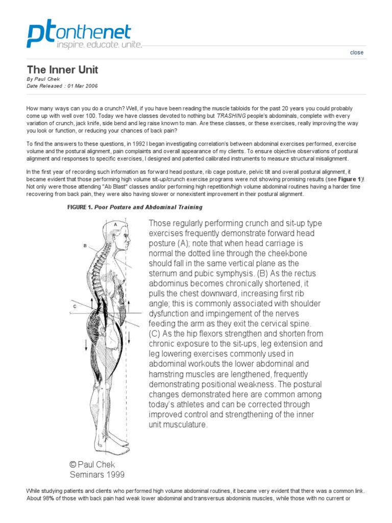The Inner Unit | PDF | Abdomen | Pelvis