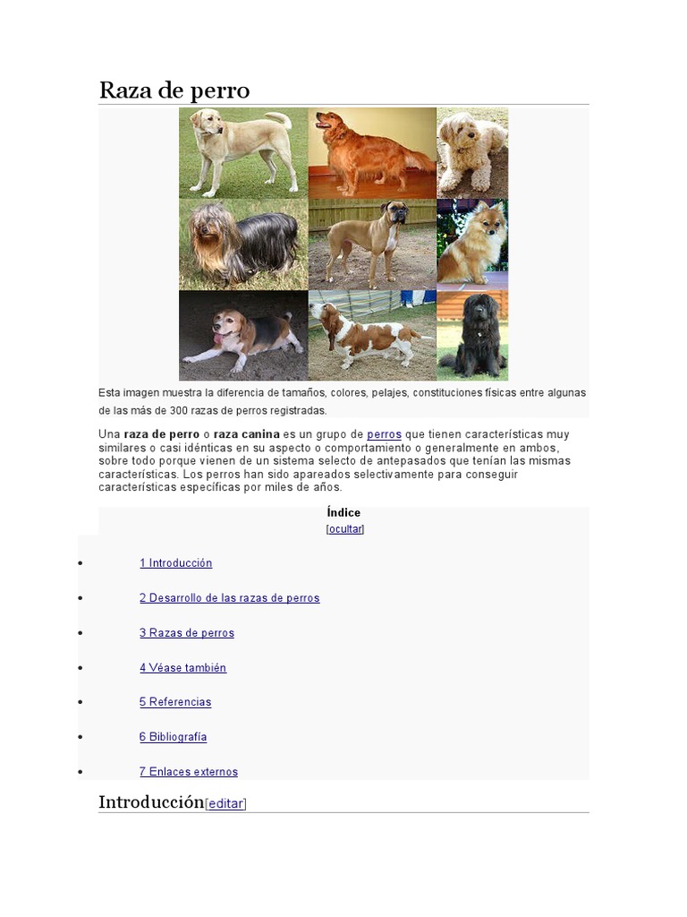 Raza de Perro | PDF | Raza (categorización humana) | Animales de trabajo