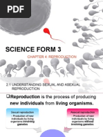 The Comparative Anatomy of Eating | PDF | Digestion | Gastrointestinal ...