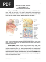 Anatomi Tikus | PDF | Ilmu Sosial | Kajian Bahasa Asing