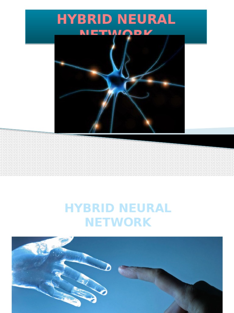 Hybrid Neural Network | PDF | Artificial Neural Network | Nervous System