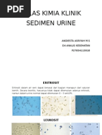 Kristal Amorf dalam Urin dan Penyebabnya | PDF