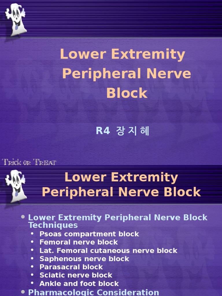 [20060519]Lower Extremity Peripheral Nerve Block | Anesthesia ...
