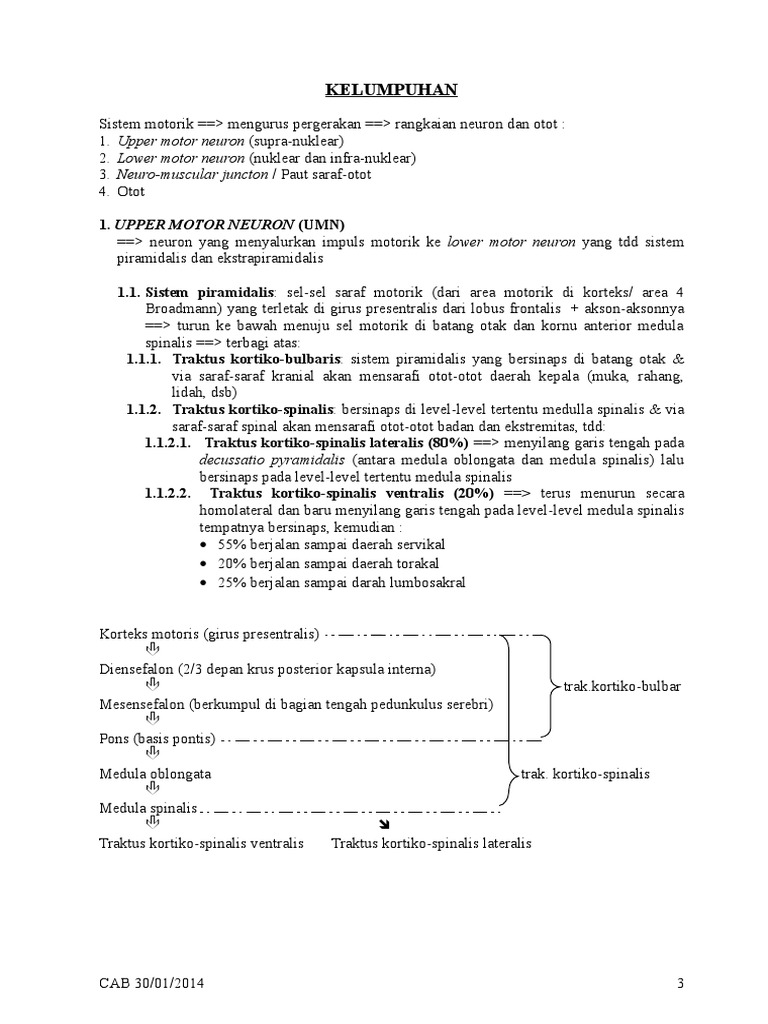 Kelumpuhan | PDF