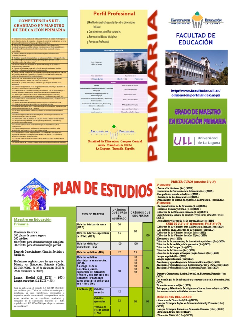 Triptico Primaria | PDF | Educación primaria | Aprendizaje